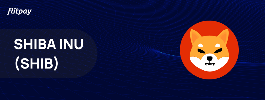 Top 10 Crypto Memecoins to Watch This Year (2024) - Flitpay